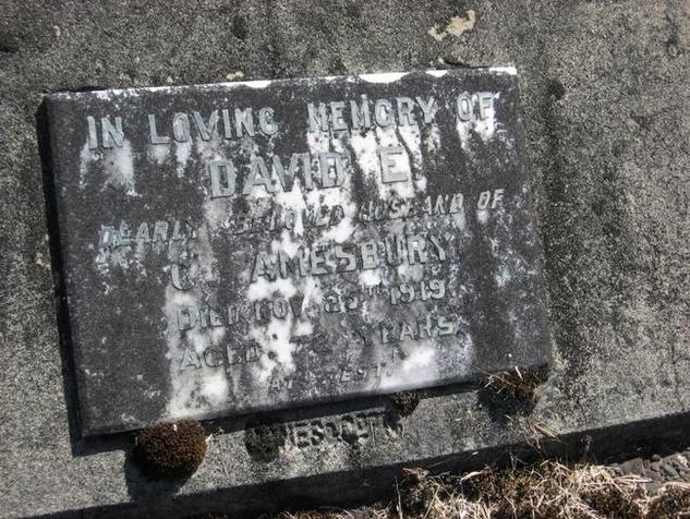 Cemetery Record Details | Manawatū District Council